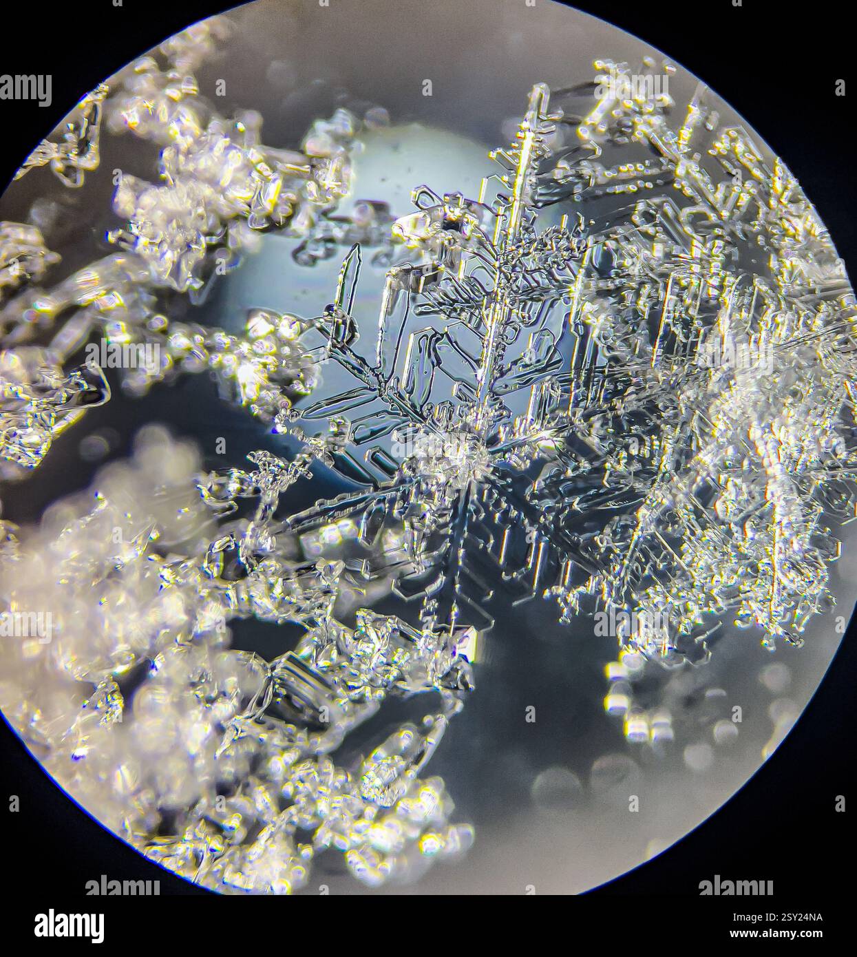 View on snowflake under microscope ocular Stock Photo - Alamy
