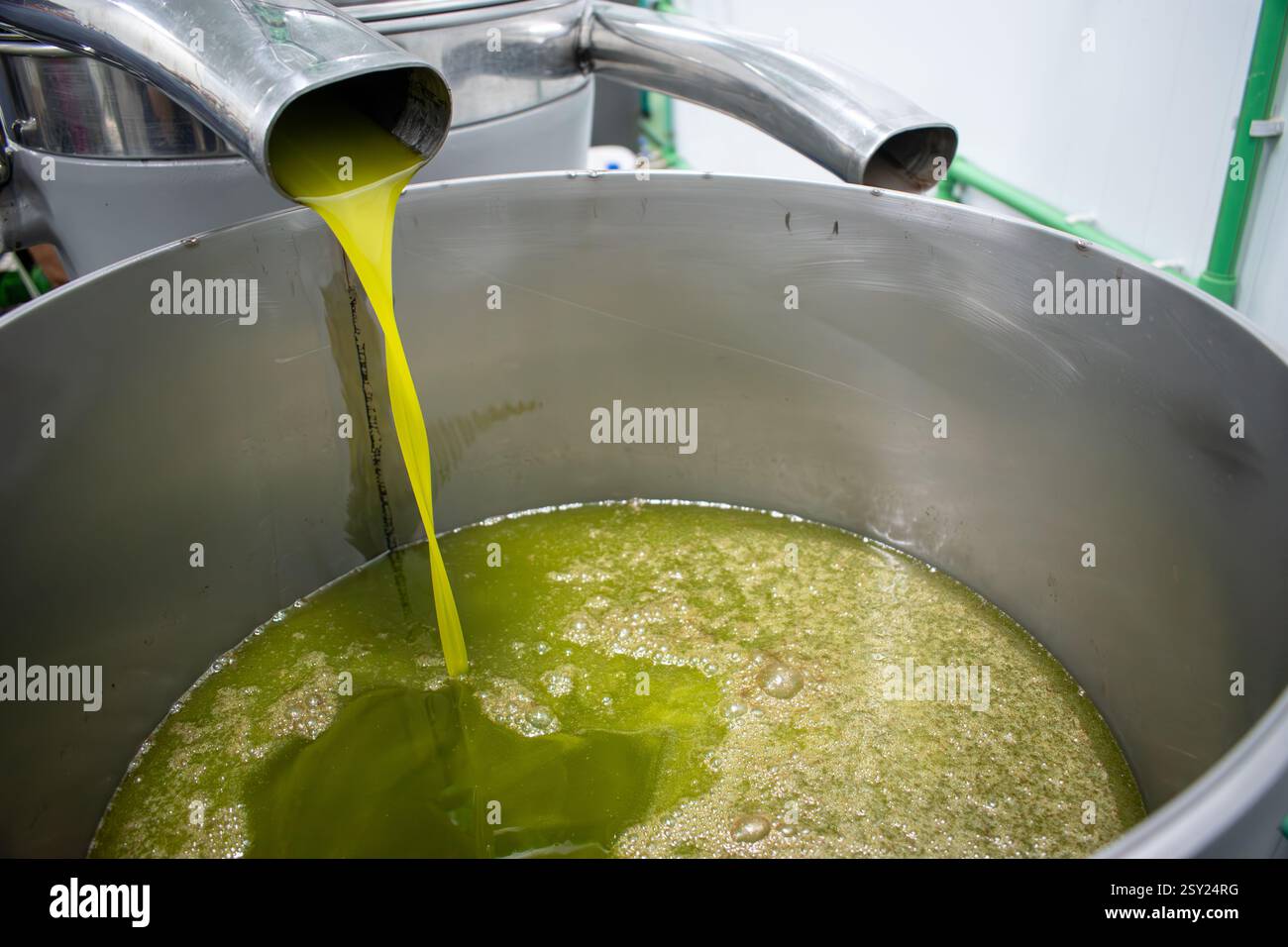 Extra virgin olive oil extraction process in an olive mill in the south ...