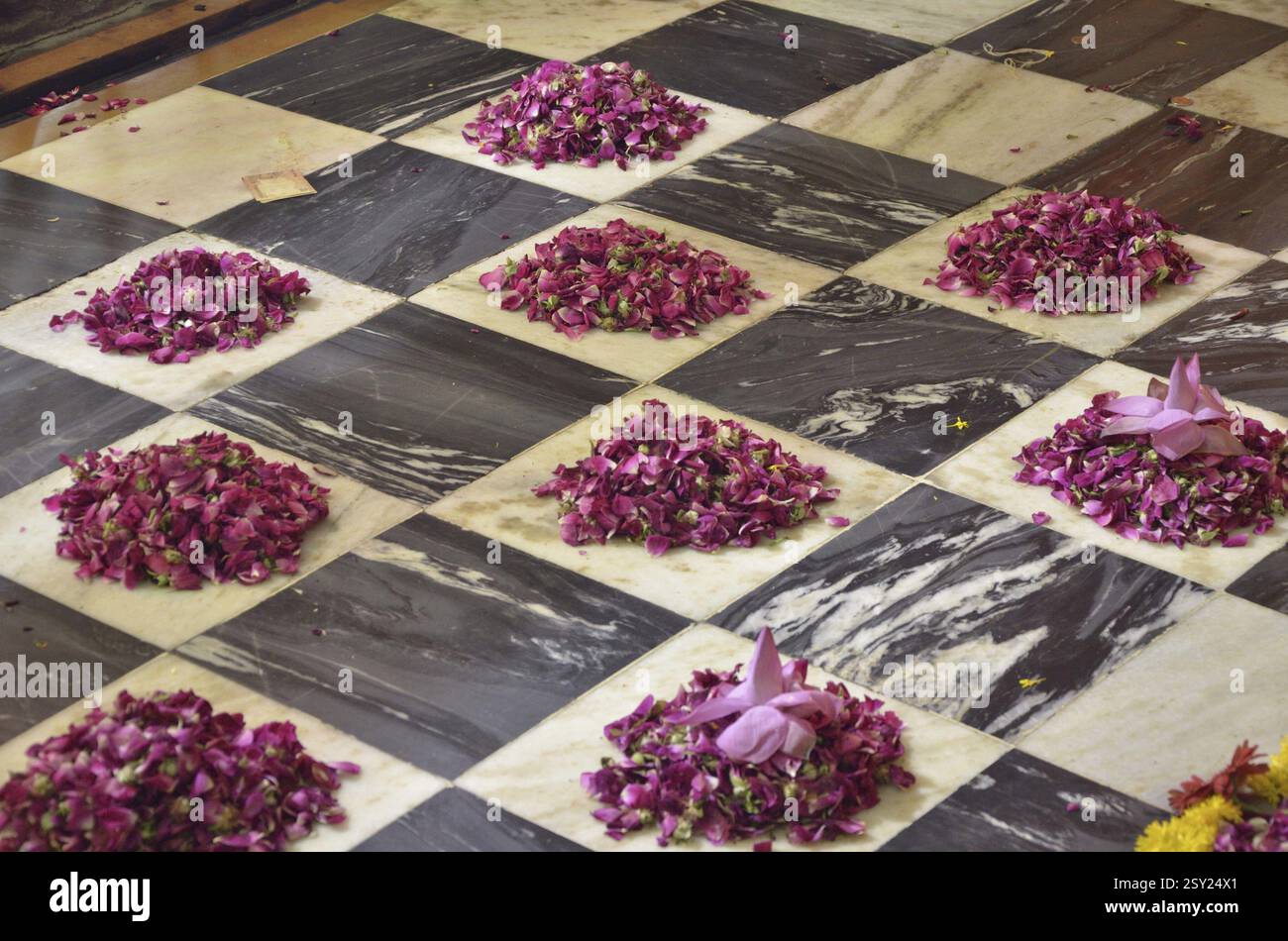 Piles of flowers on floor Jodhpur Rajasthan India Asia Stock Photo - Alamy