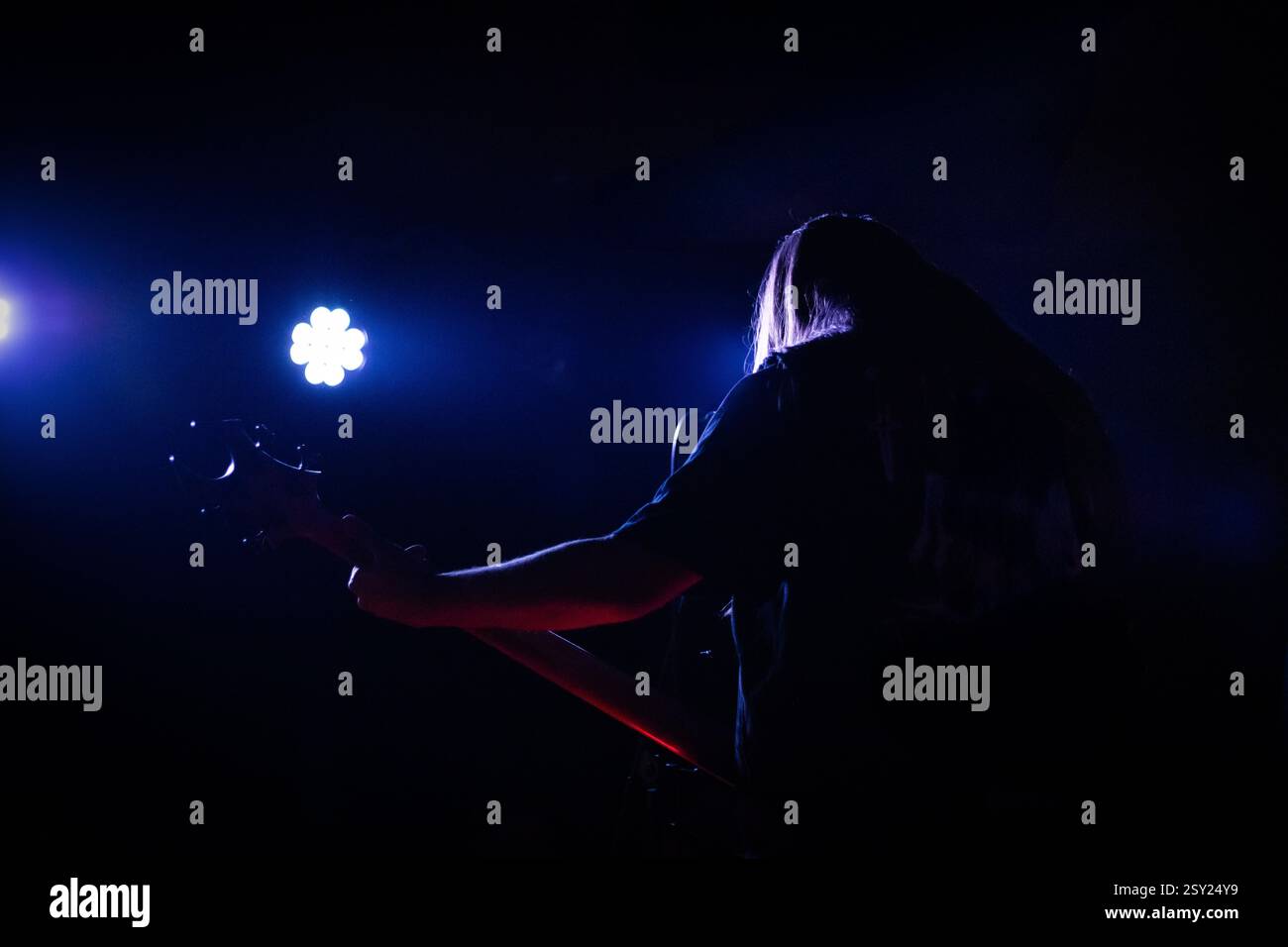 A moody and atmospheric photograph of a bass guitarist performing live ...