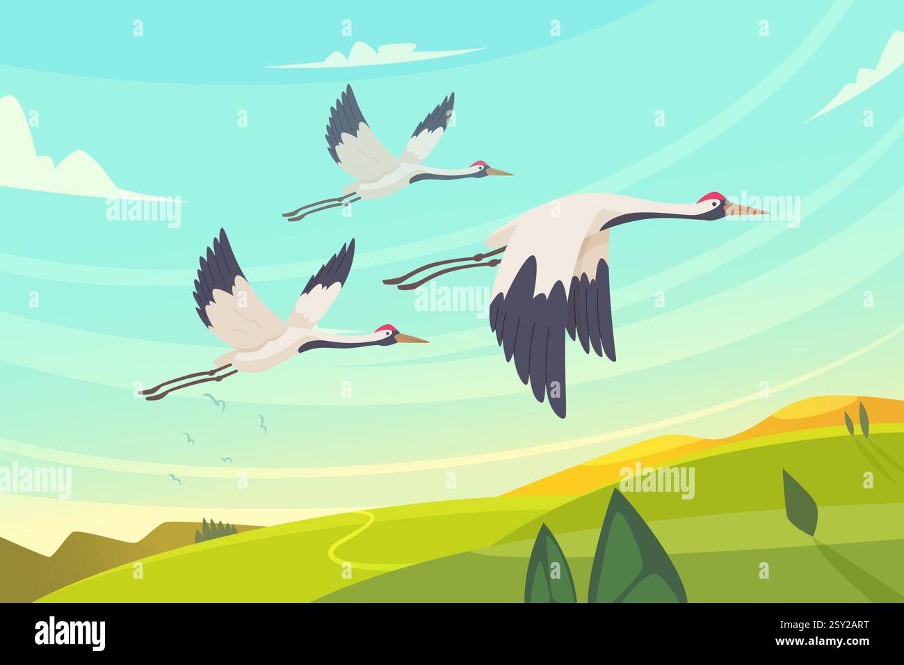 Cranes in the sky. wild flying beauty birds outdoor. vector background ...