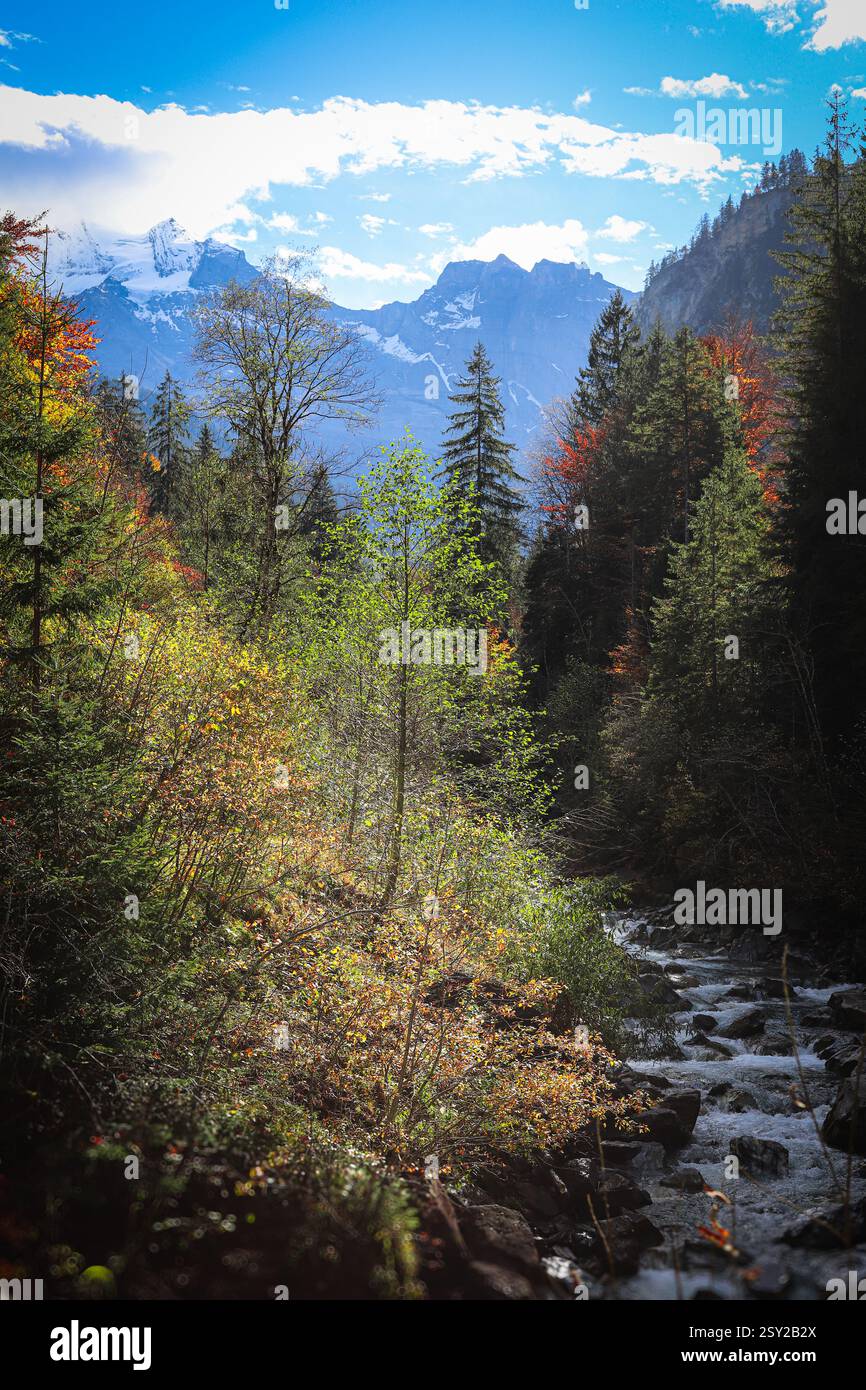 Adelboden fall hi-res stock photography and images - Alamy