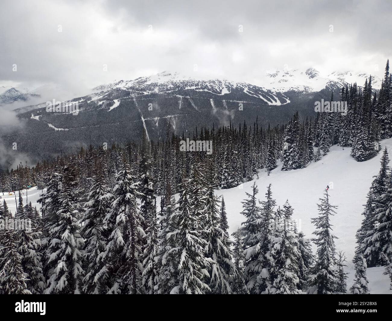 Aerial view of snowy mountains with snow covered pine trees during ...