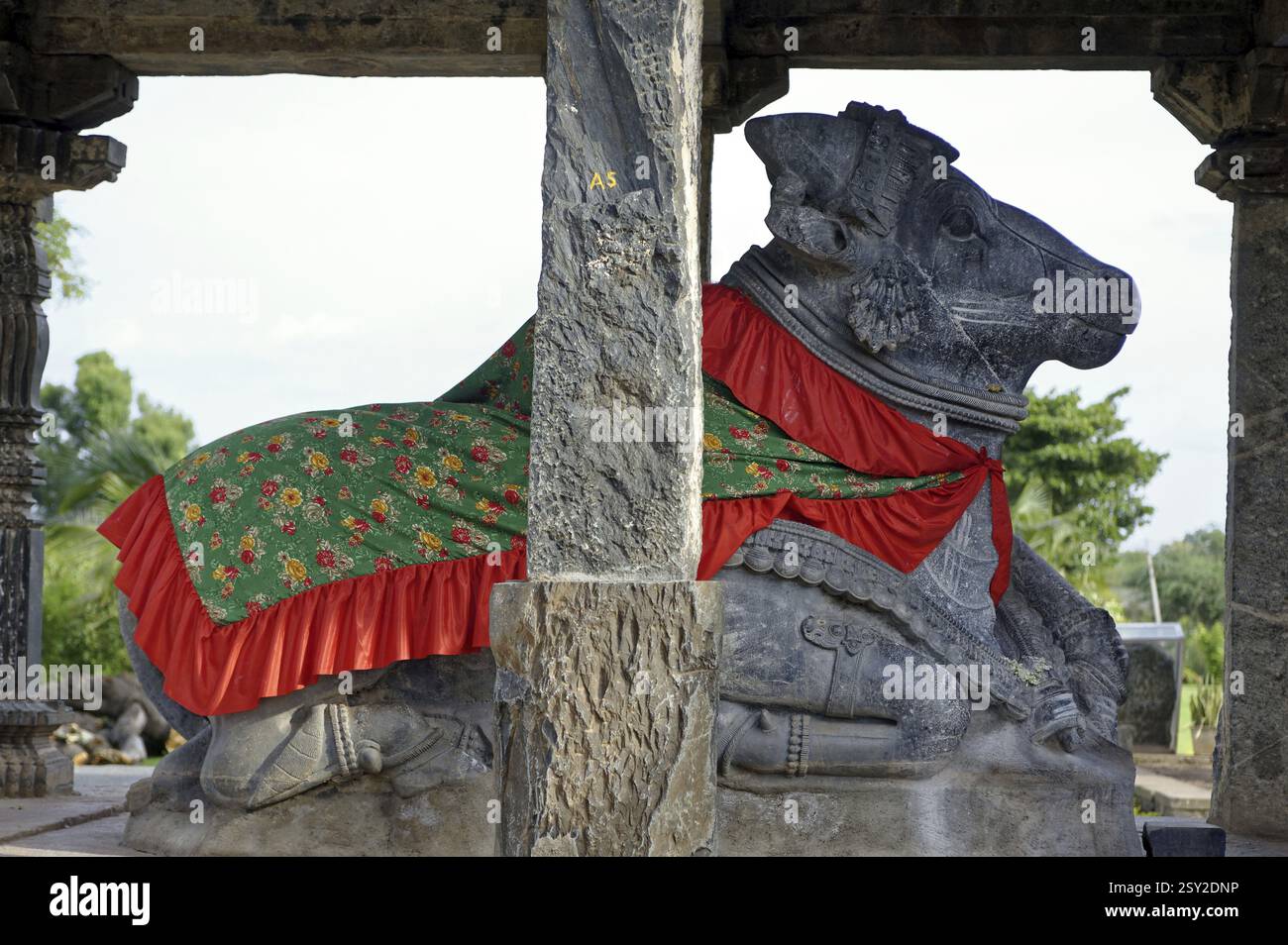 Nandi statue, dodda basappa shiva temple, gadag, Karnataka, india, asia ...