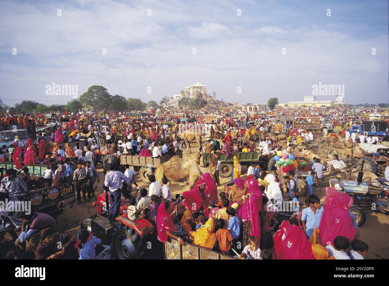 Chaksu fair, jaipur, rajasthan, india, asia Stock Photo - Alamy