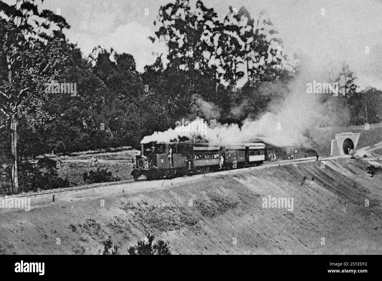 Fern hill station, ooty western ghats, tamil nadu, india, asia Stock ...