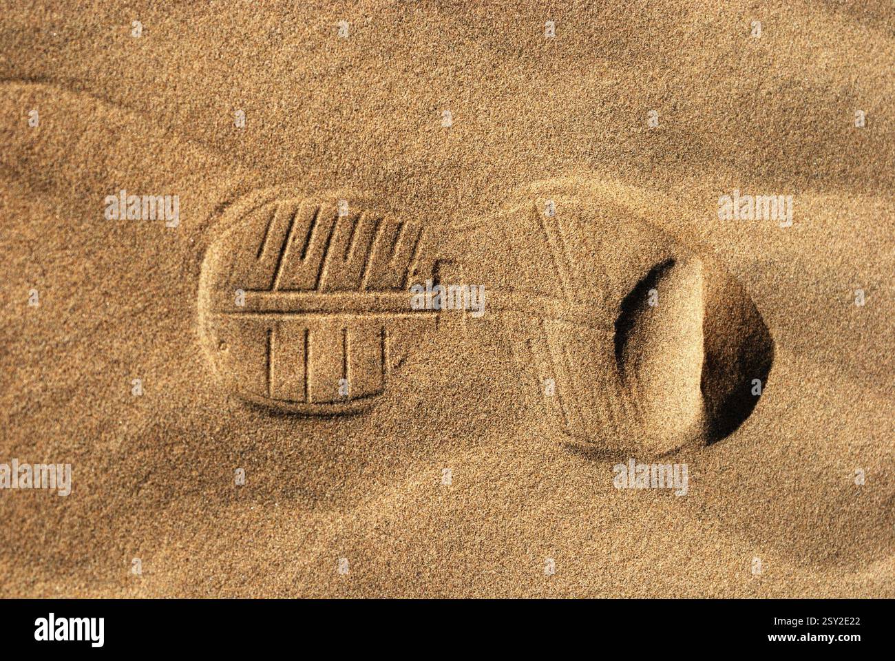 Foot mark on sand Jaisalmer Rajasthan India Asia Stock Photo - Alamy