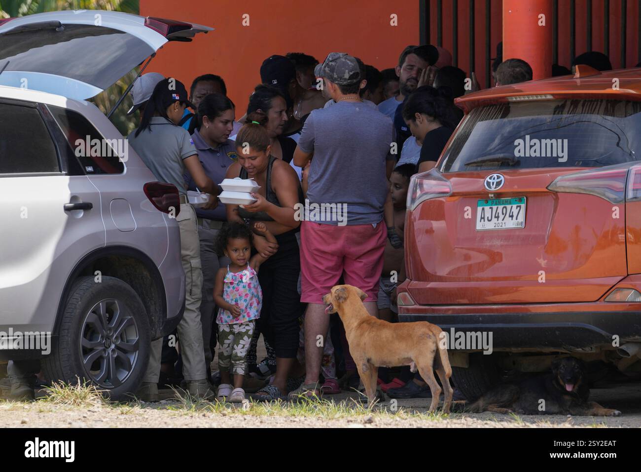 Migrants are given food by Panamanian immigration authorities upon ...
