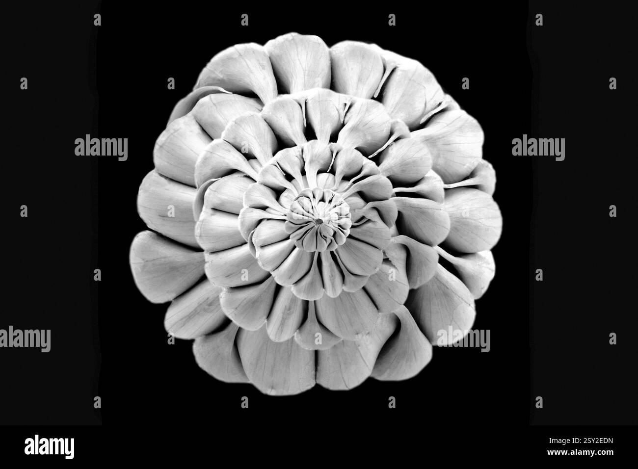 Side you Black and White Stock Photos & Images - Alamy