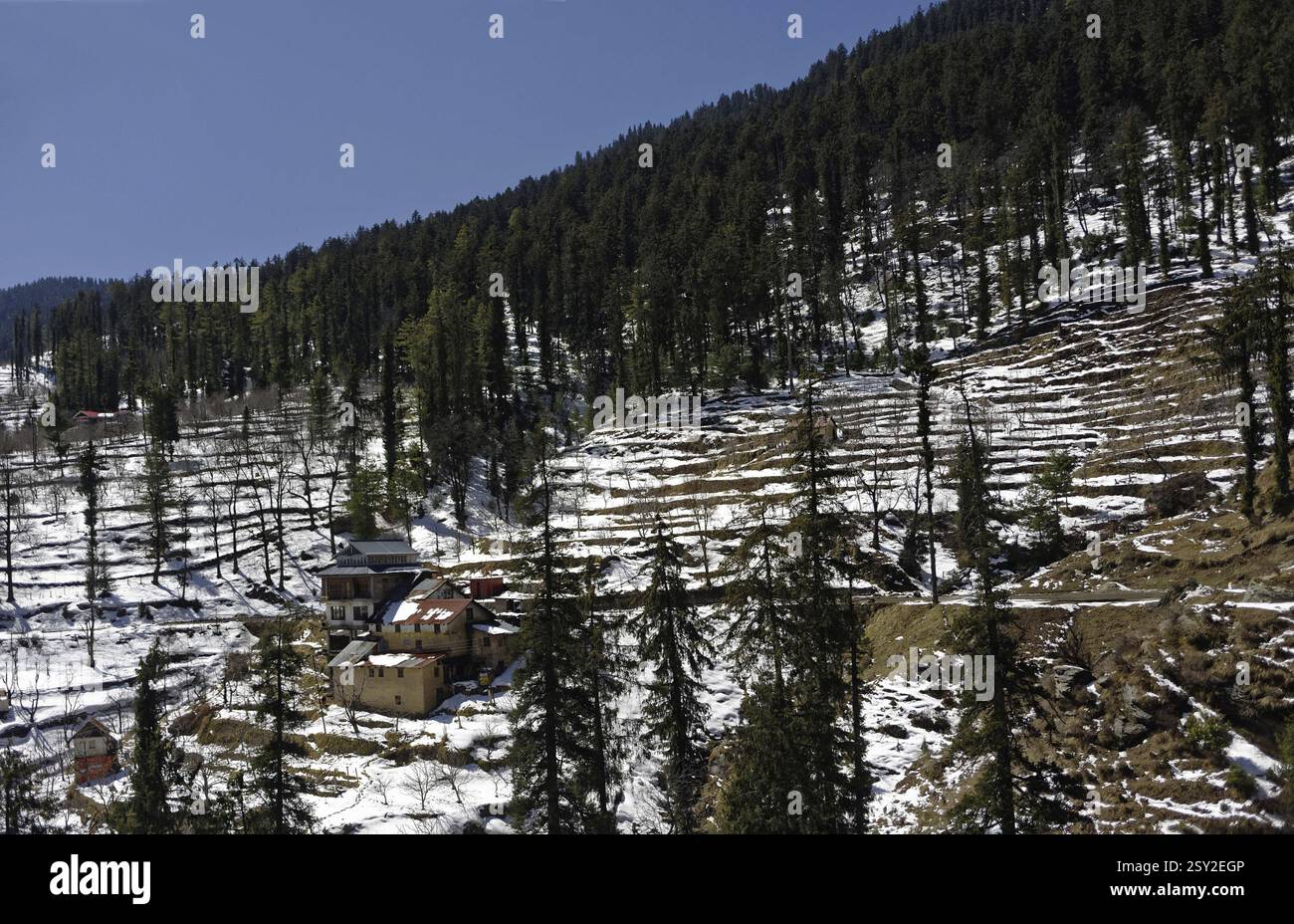 Snow on hills at himachal pradesh, india, Asia Stock Photo - Alamy