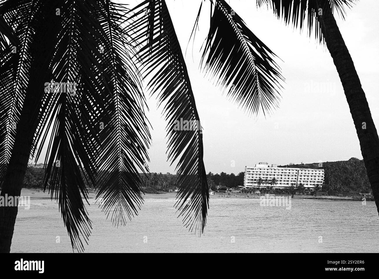 Bogmalo beach hotel and palm tree Goa India Asia 1981 Stock Photo - Alamy