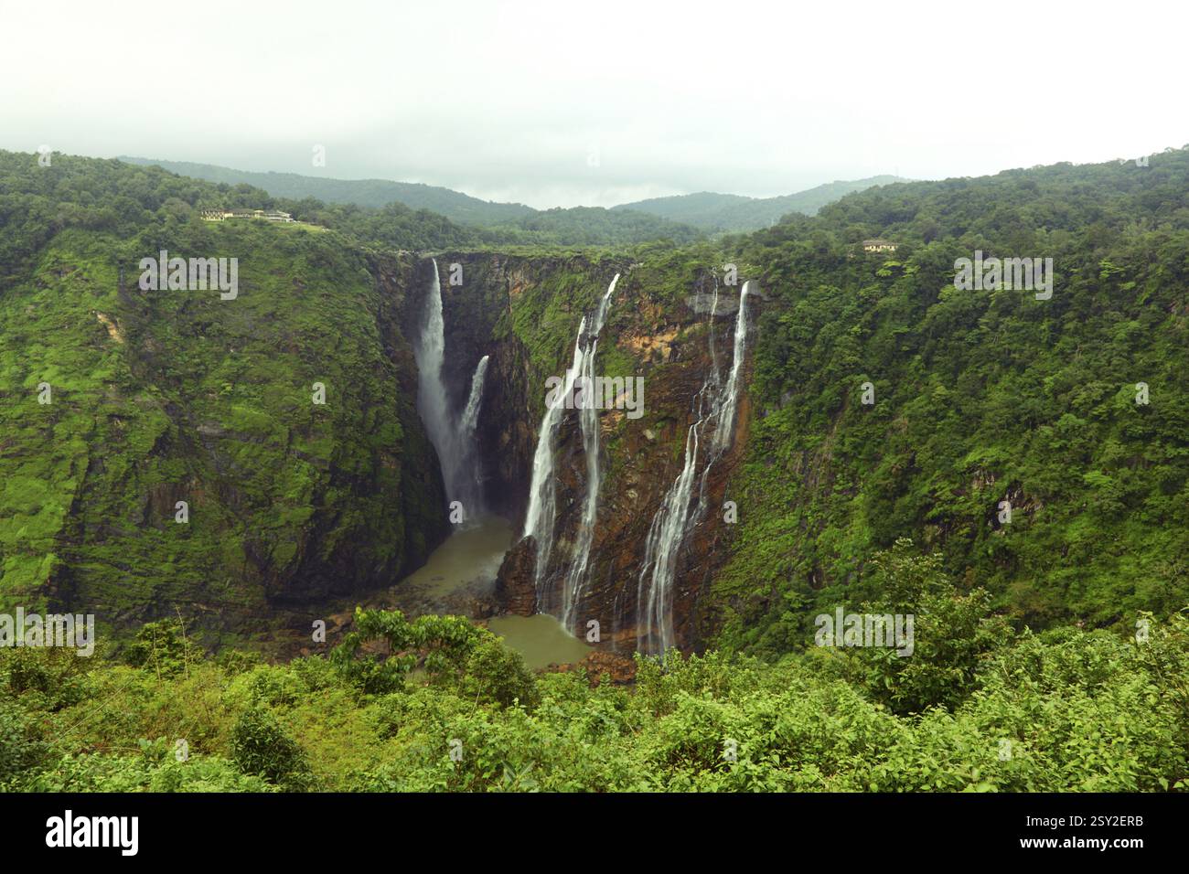 Jog falls shimoga Karnataka India Asia Stock Photo - Alamy