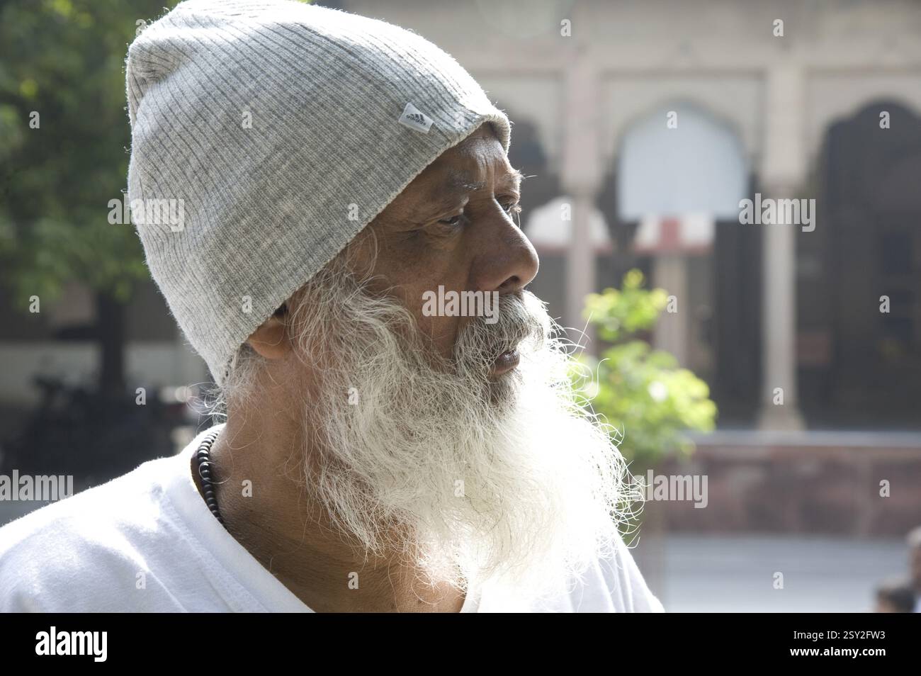 Twenty four acharya shree vivek das saheb, kabir math, varanasi, uttar ...