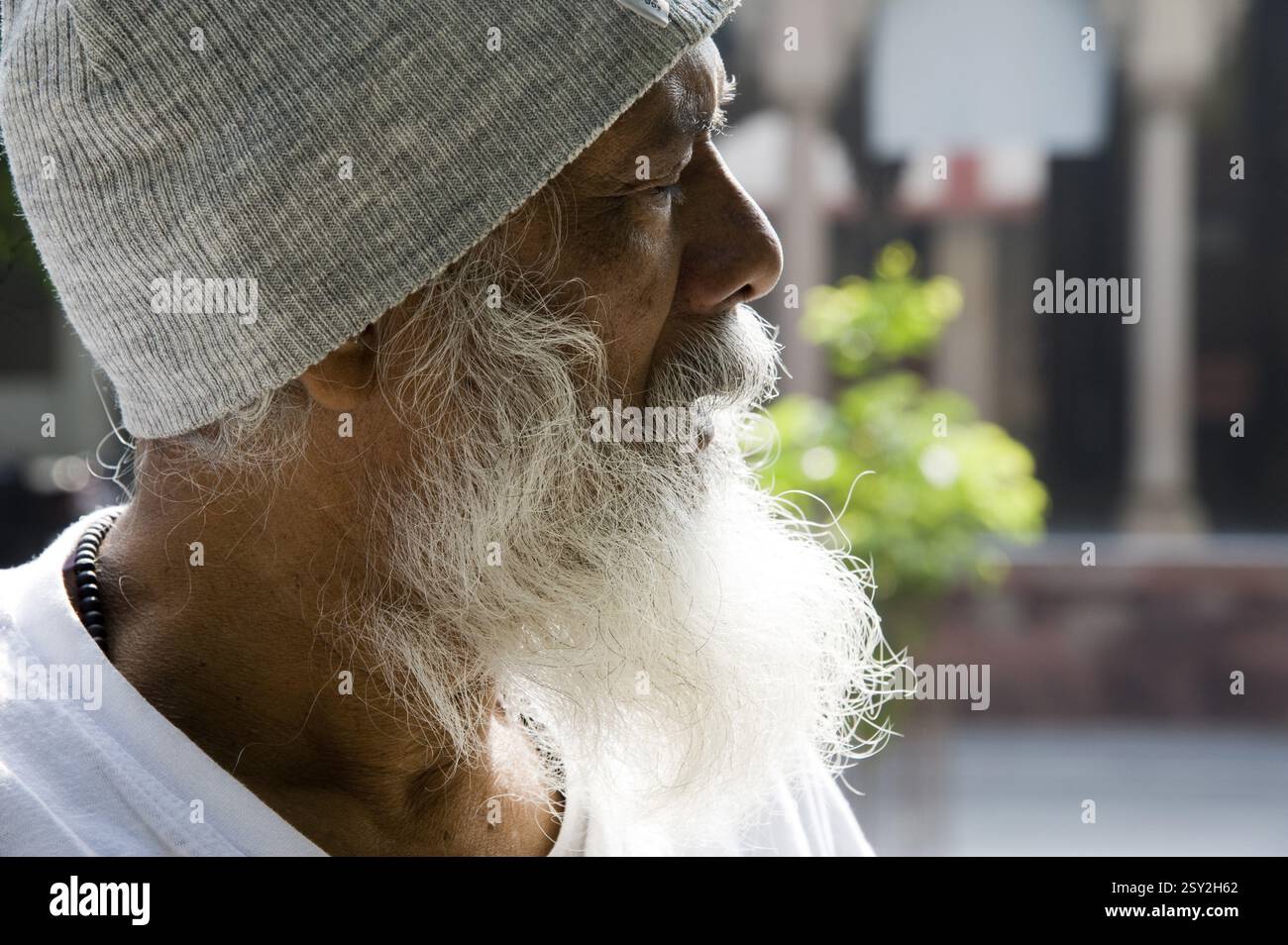 Twenty four acharya shree vivek das saheb, kabir math, varanasi, uttar ...