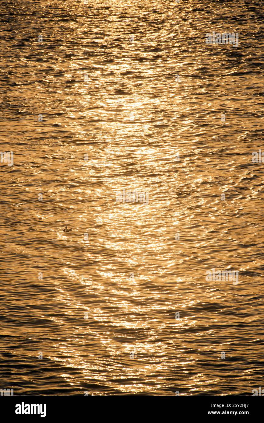 Golden sparkling water, maharashtra, india, asia Stock Photo - Alamy