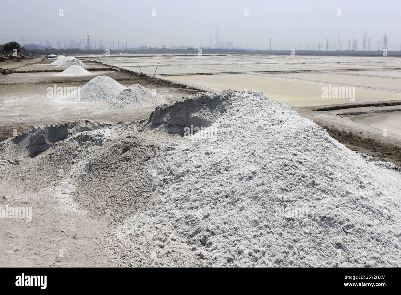 Sea salt raw flakes from wadala salt farms Mumbai Maharashtra India ...
