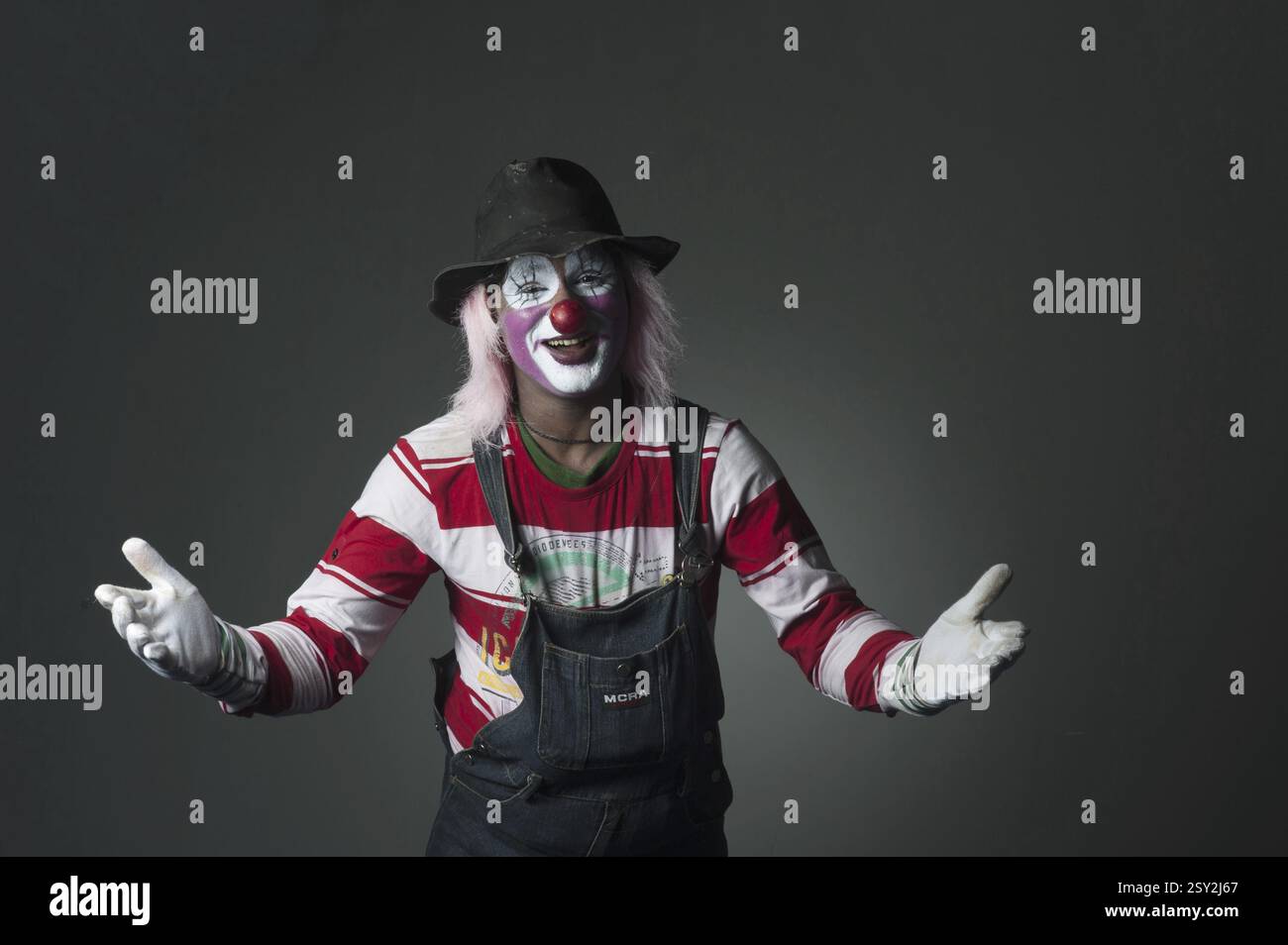 Man dressed up as joker, jodhpur, rajasthan, india, asia Stock Photo ...