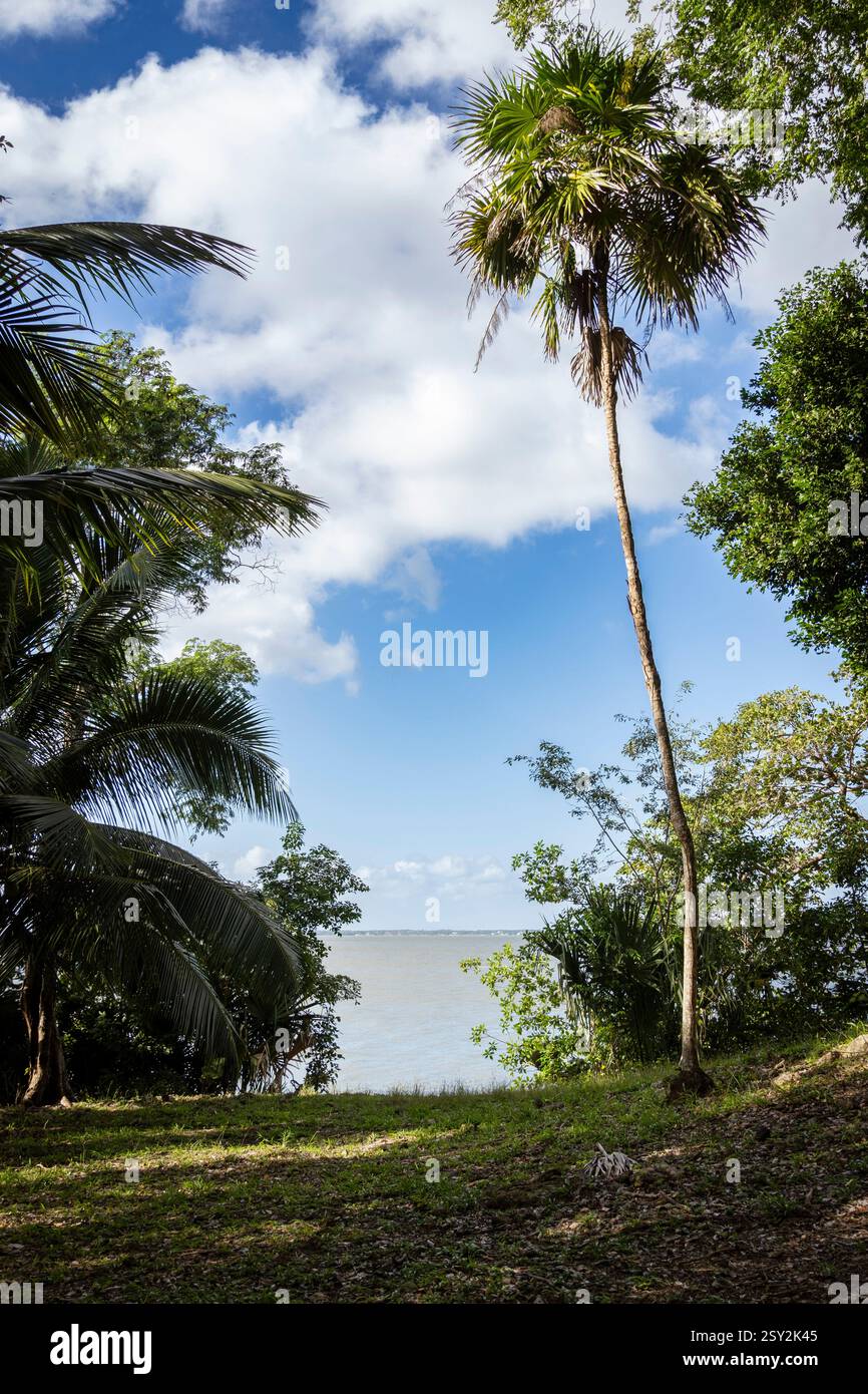 Corozal district hi-res stock photography and images - Alamy