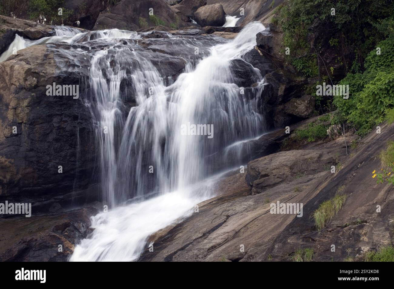 The Attakadu waterfalls cascading in great speed through the rocks ...