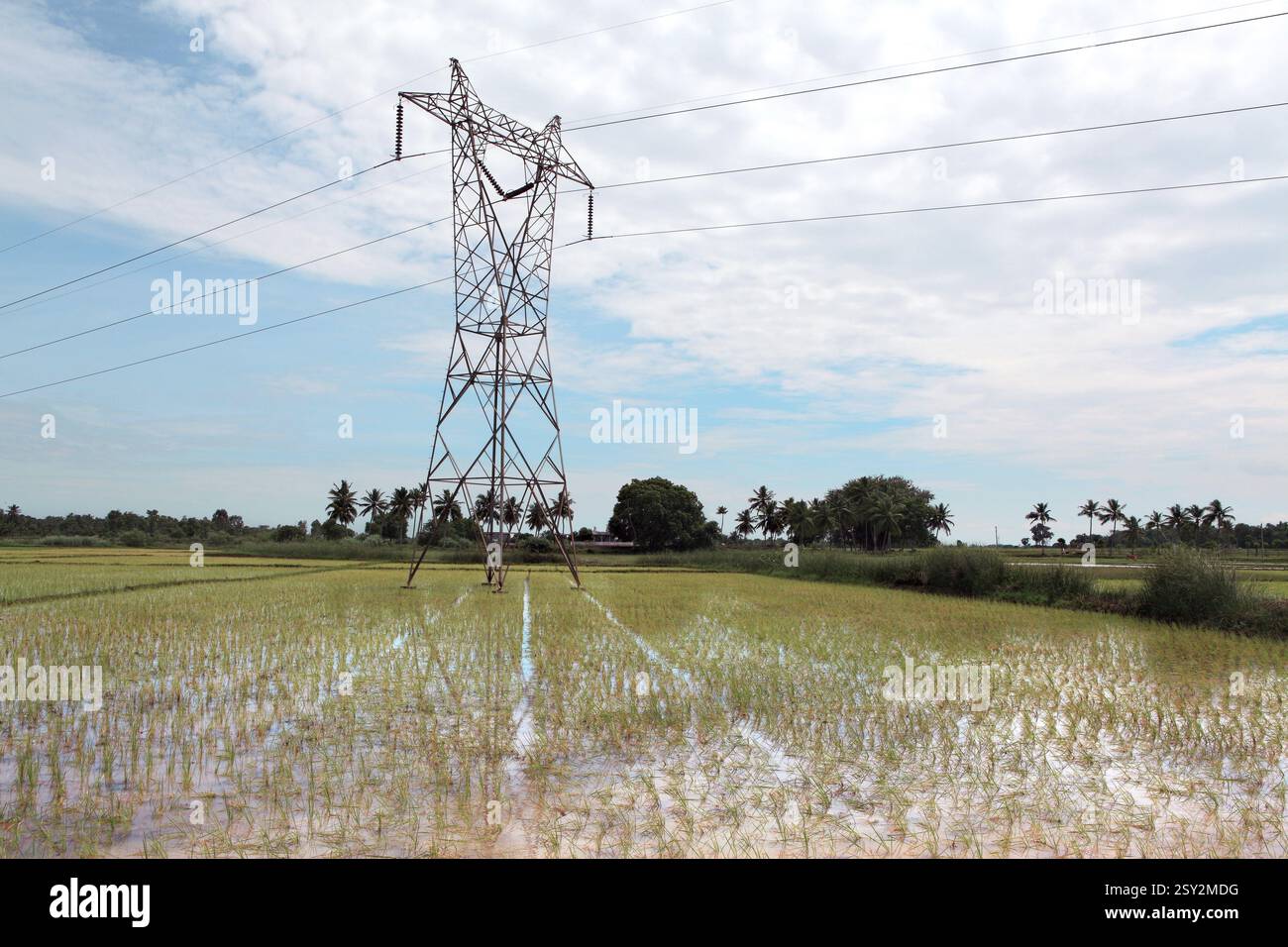 High voltage transmission line haryana Uttar Pradesh India Asia Stock ...