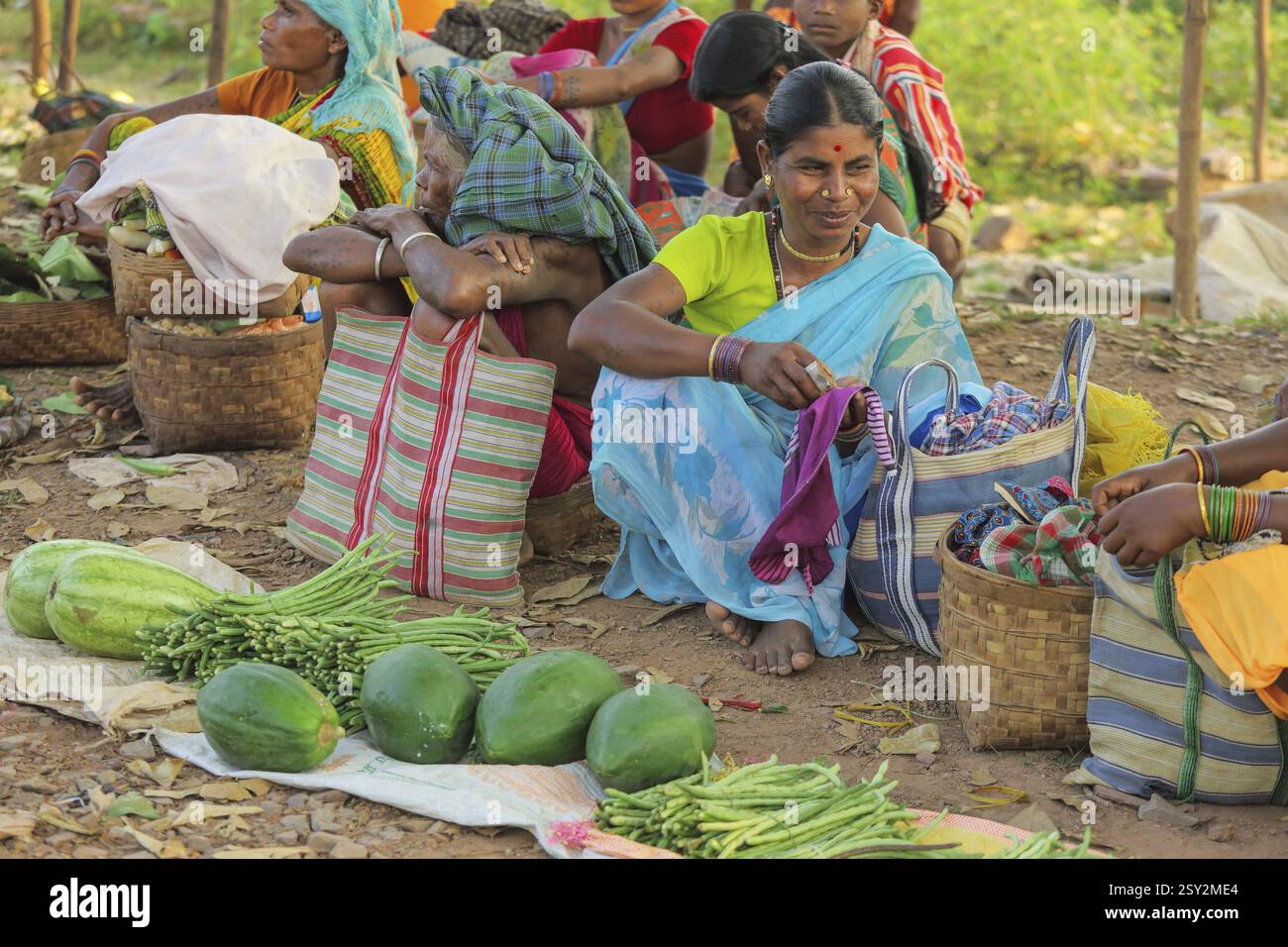 Vendors selling vegetables, bastar, chhattisgarh, india, asia Stock ...
