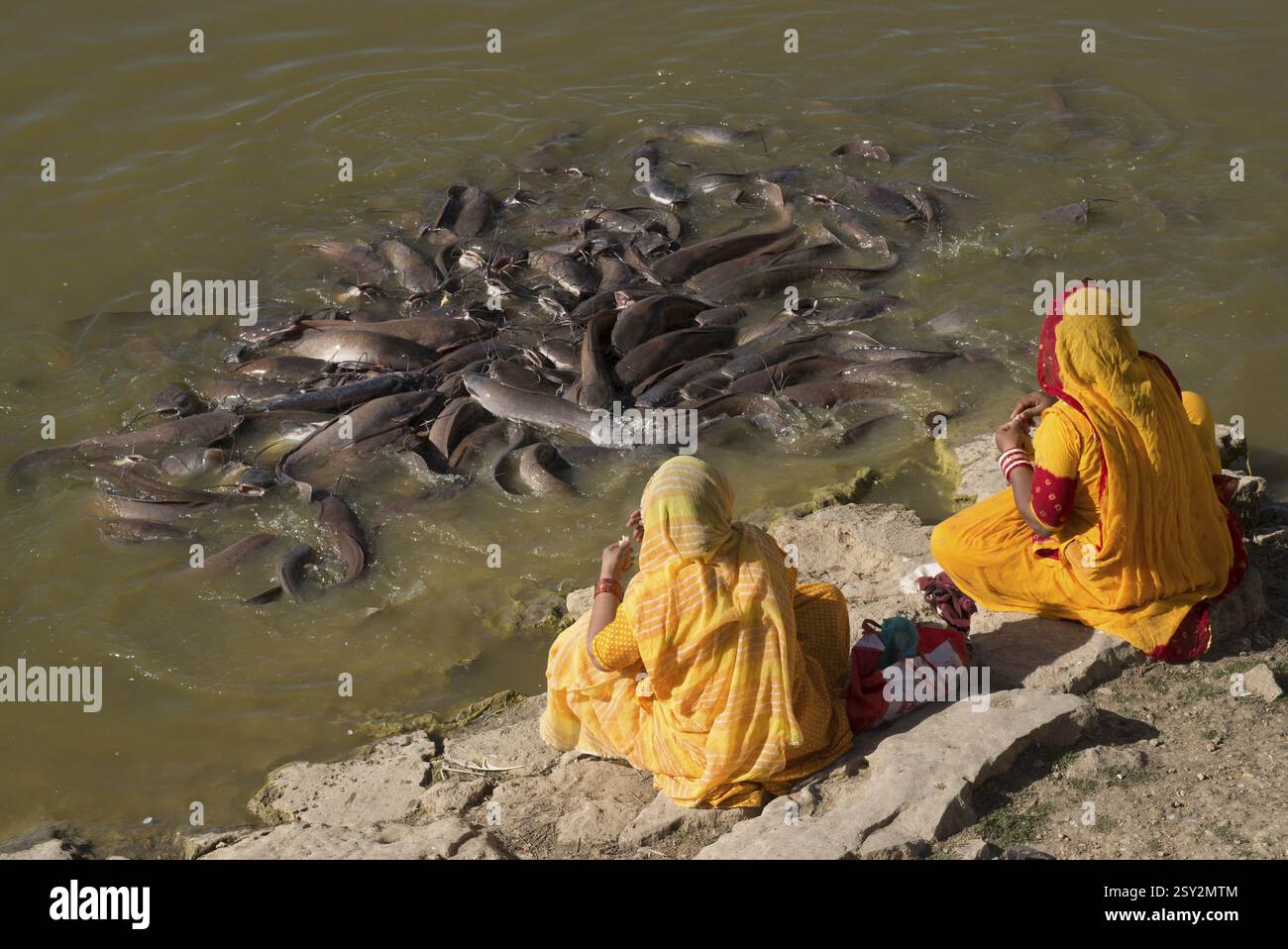 Women sitting gadi sagar lake, jaisalmer, rajasthan, india, asia Stock Photo - Alamy