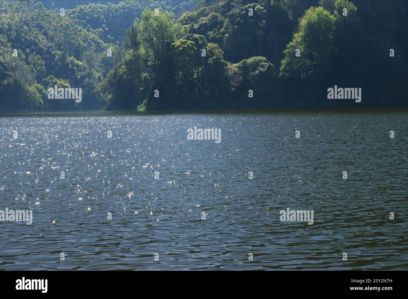 Kundala Lake Munnar Kerala India Asia Stock Photo - Alamy