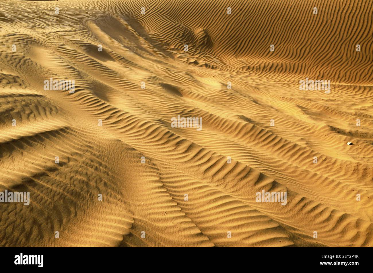 Diagonal curve and ripples on sand dunes Rajasthan India Asia Stock ...