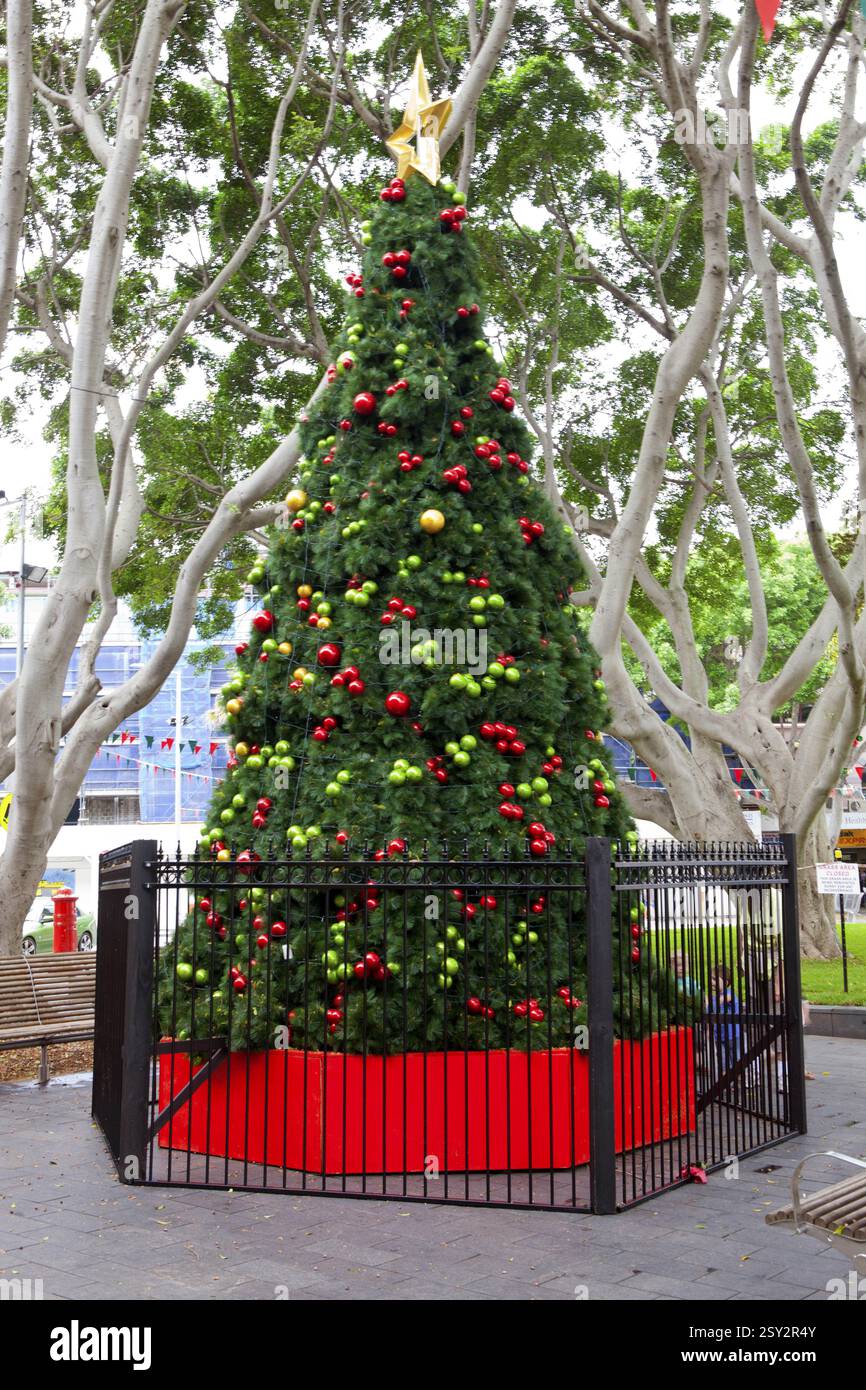 Christmas tree celebration, sydney, australia Stock Photo - Alamy