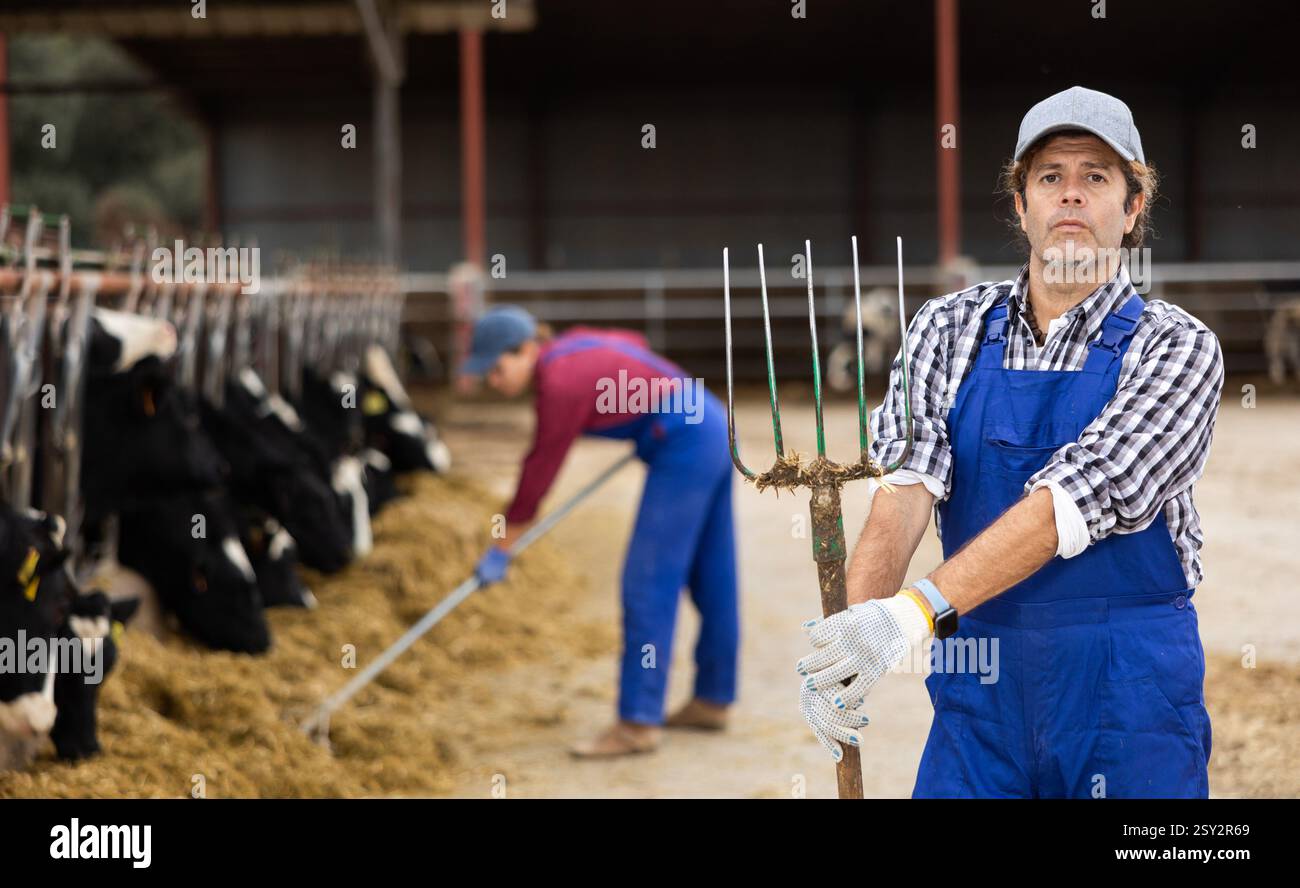 Confident middle-aged owner of farm standing with rake during ...