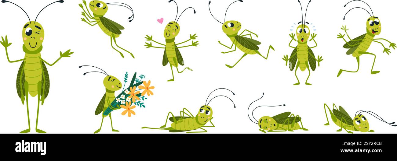 Funny grasshopper. Green grasshoppers run sleep play, falling in love ...