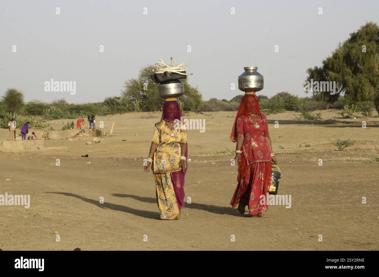 Women carrying water in Jaisalmer at Rajasthan India Stock Photo - Alamy