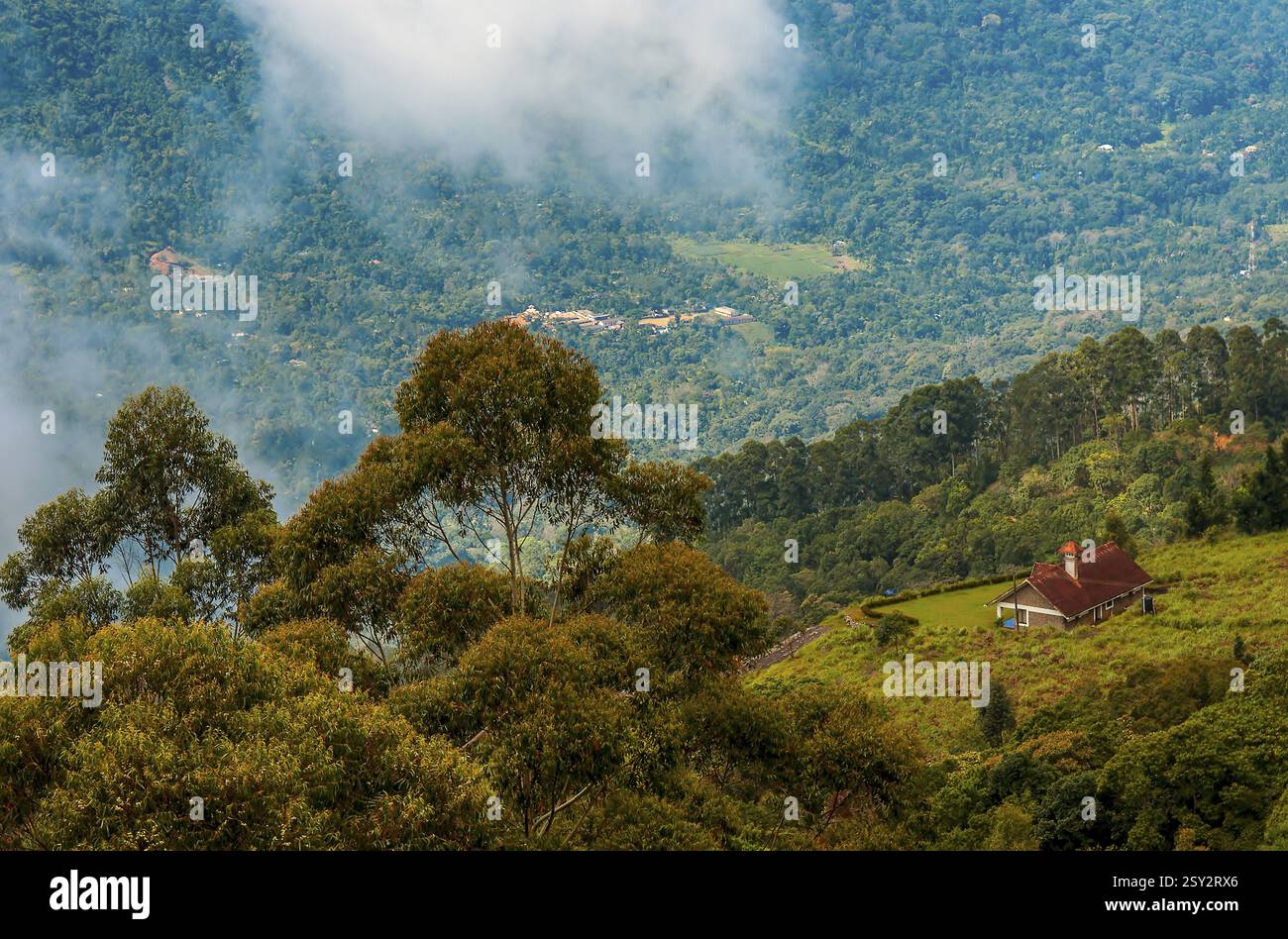 House on hill slope, munnar, kerala, india, asia Stock Photo - Alamy