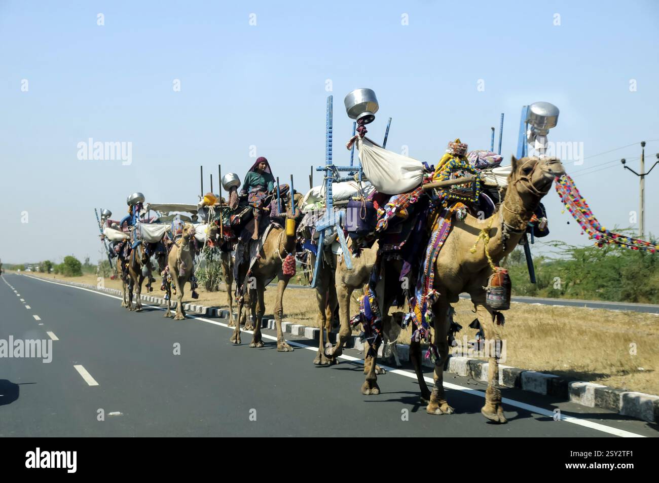 Tribal migration, gujarat, india, asia Stock Photo - Alamy