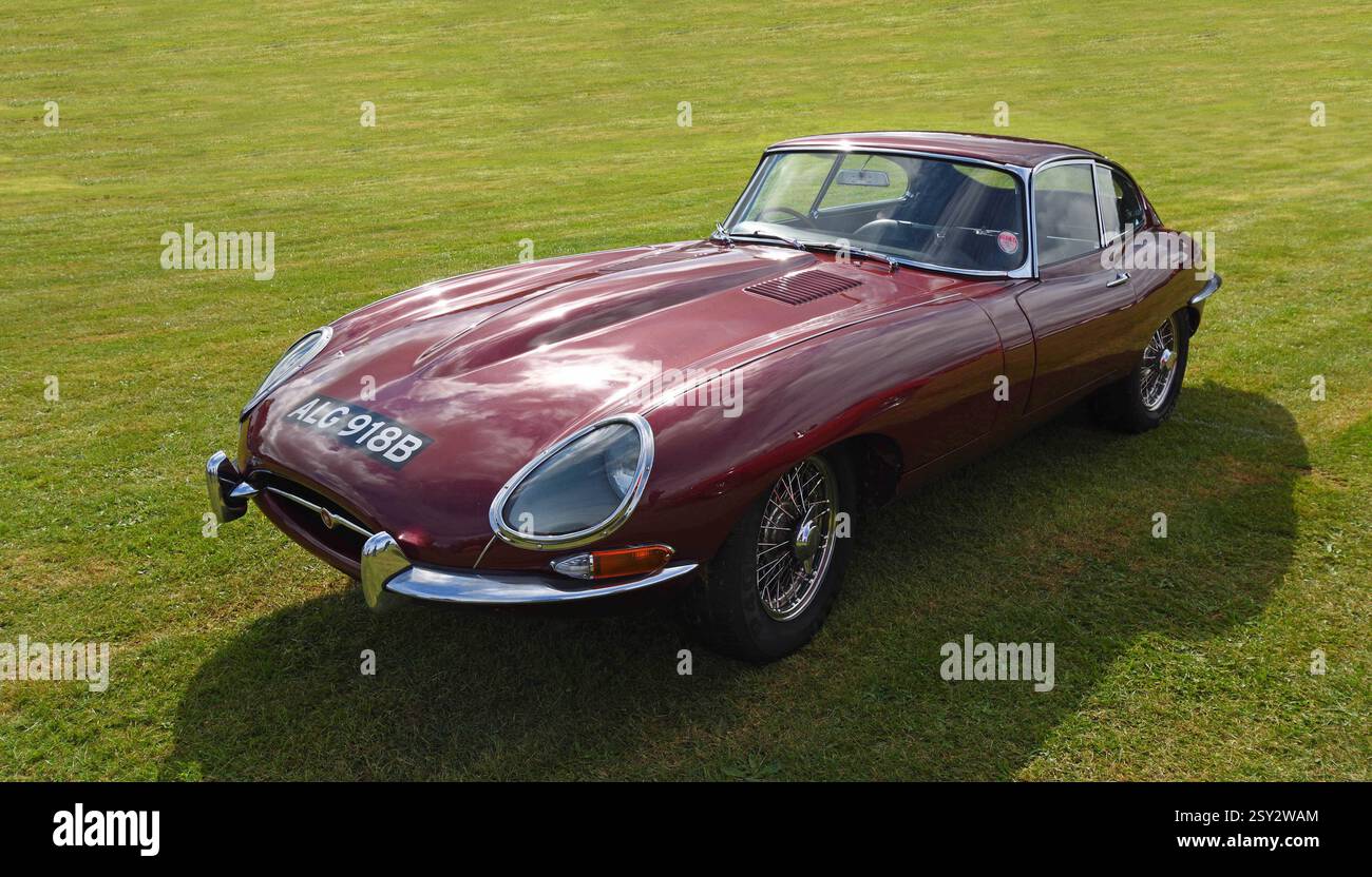 Classic Dark Red Jaguar E - Type Car parked on grass Stock Photo - Alamy
