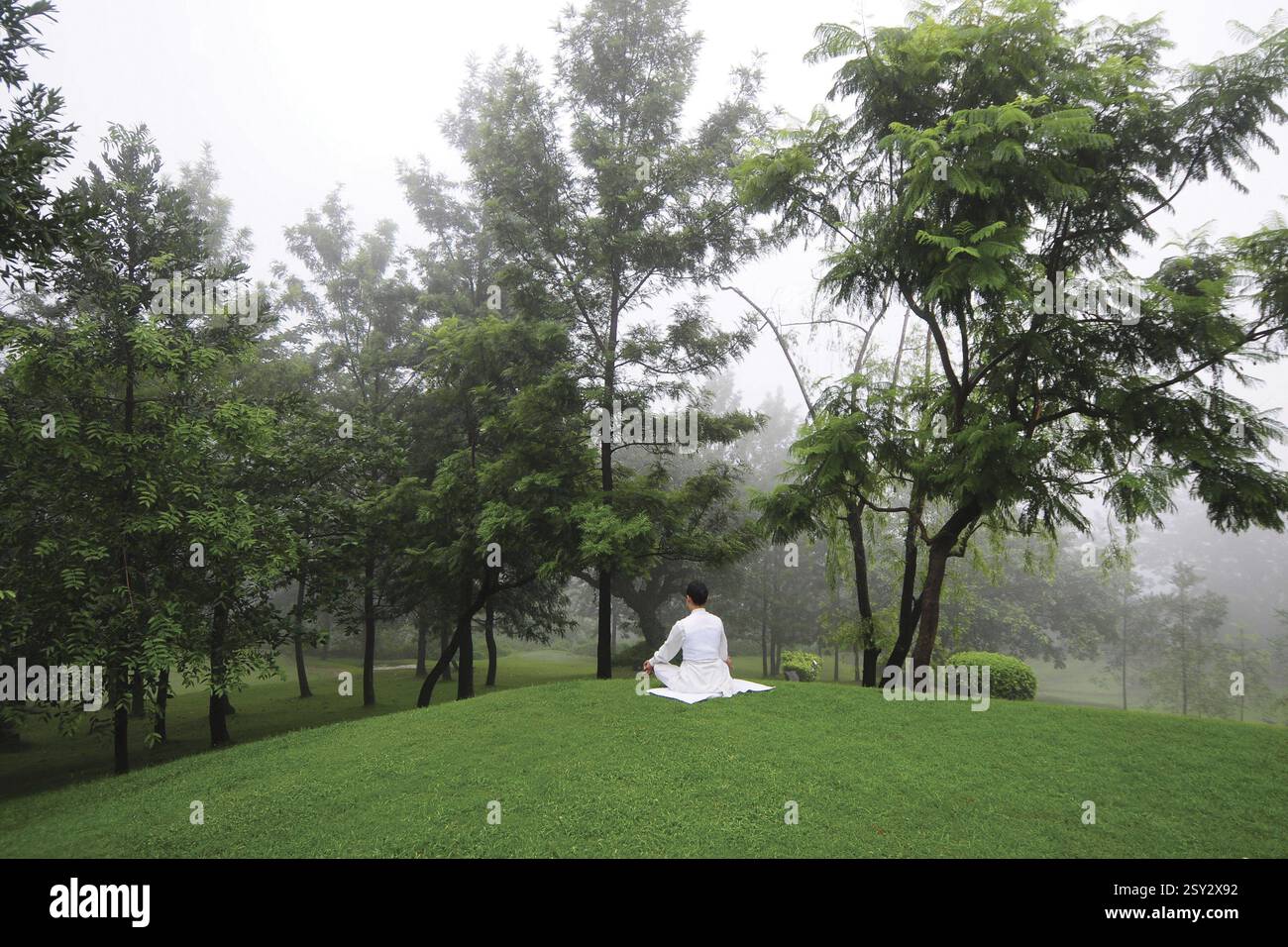 Woman meditation ananda, himalayas, india, asia Stock Photo - Alamy