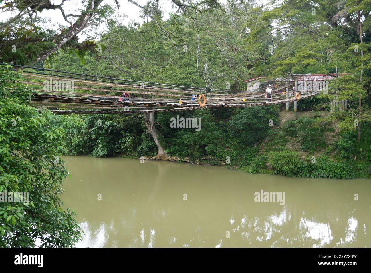 Bamboo suspension bridge over a river for pedestrians Bohol ...