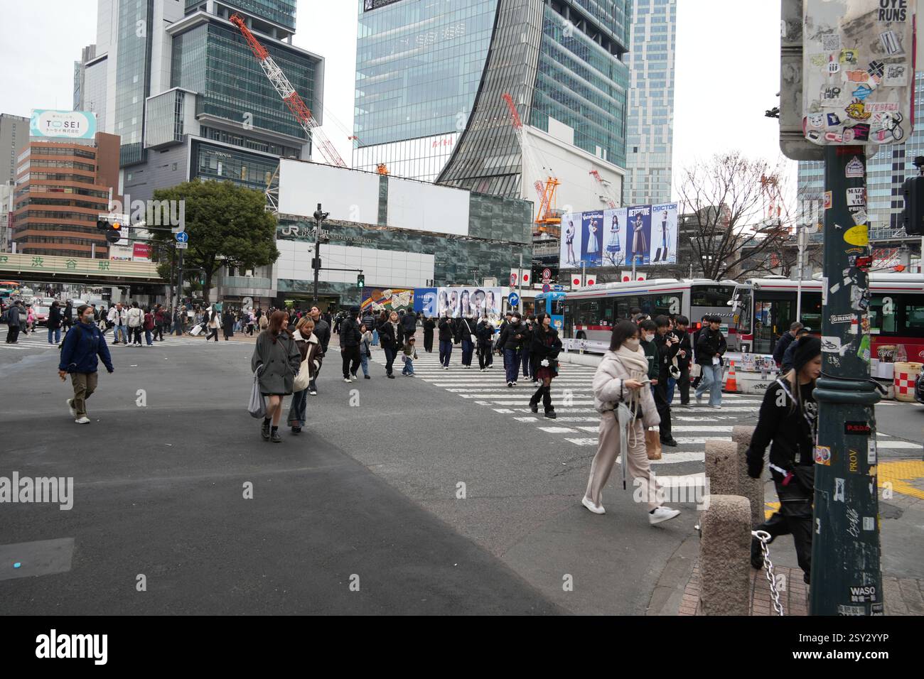 Famous Shibuya Crossing, Tokyo, Japan Stock Photo - Alamy