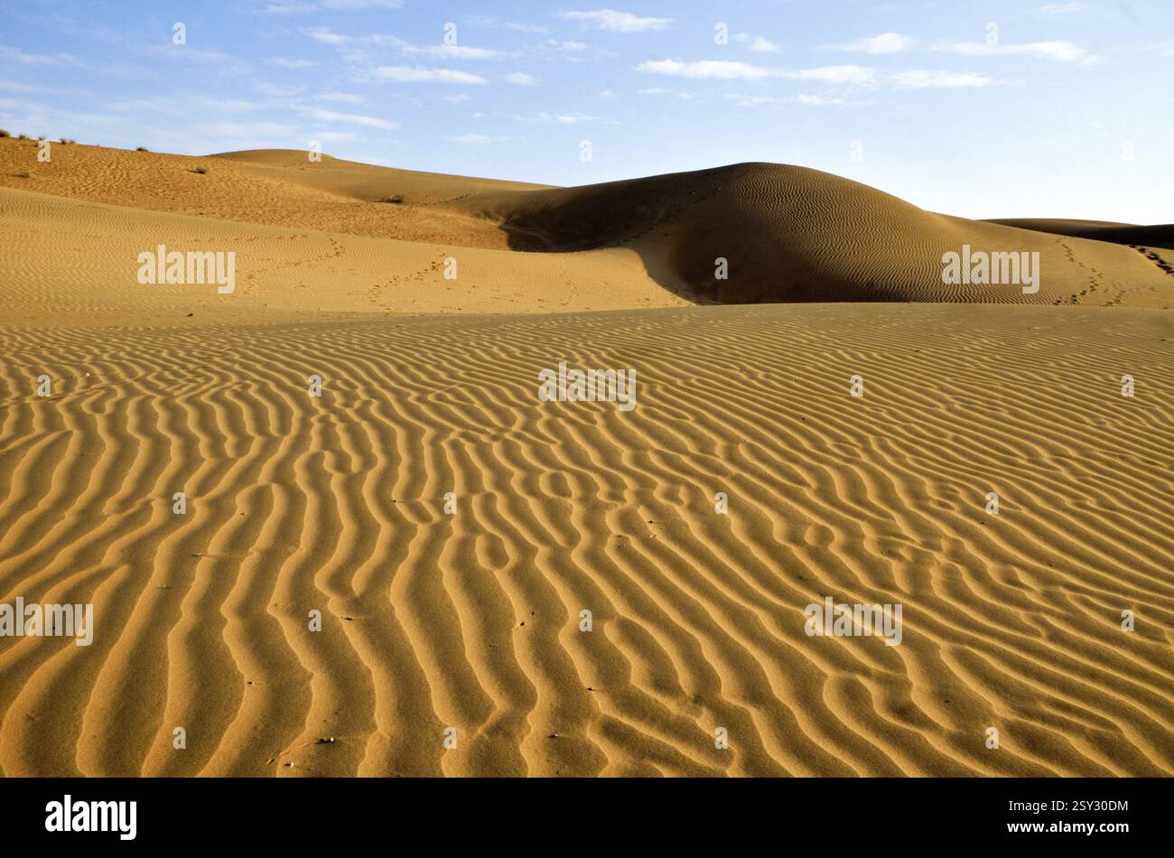 Sand dune with deep ridges Rajasthan India Asia Stock Photo - Alamy