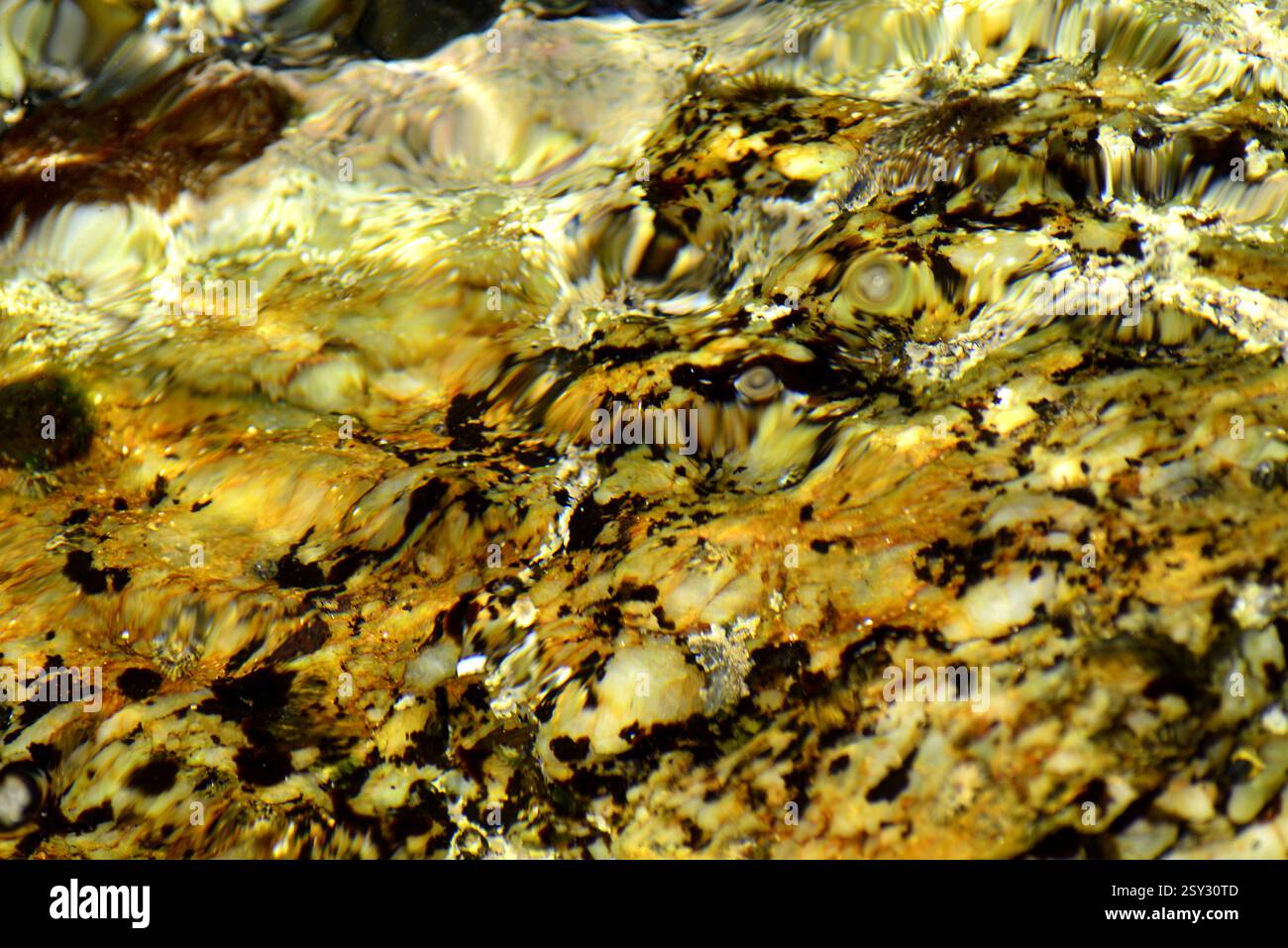 Abstract on the distortion of light reflected by moving water Stock ...