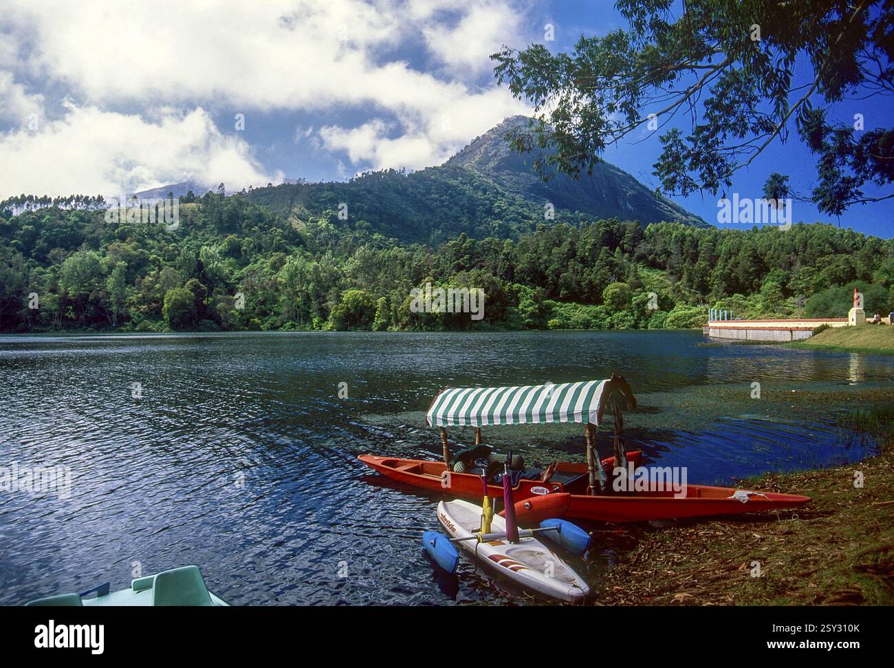 Shikara boat in kundala lake, munnar, Kerala, India, Asia Stock Photo ...