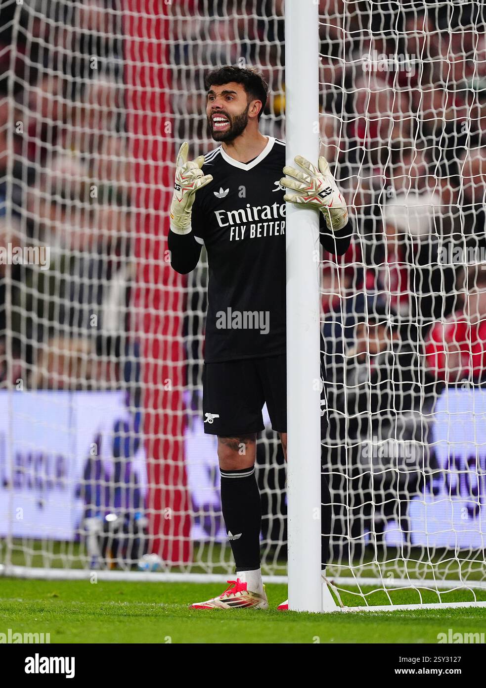 Arsenal goalkeeper David Raya during the Premier League match at the ...