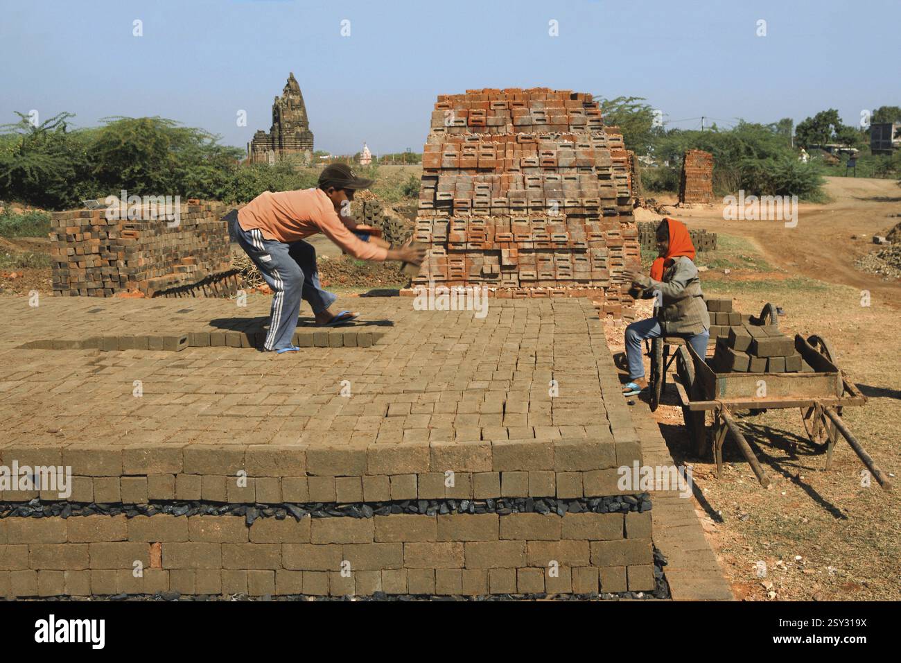 Man arranging bricks, barwani, madhya pradesh, india, asia Stock Photo ...