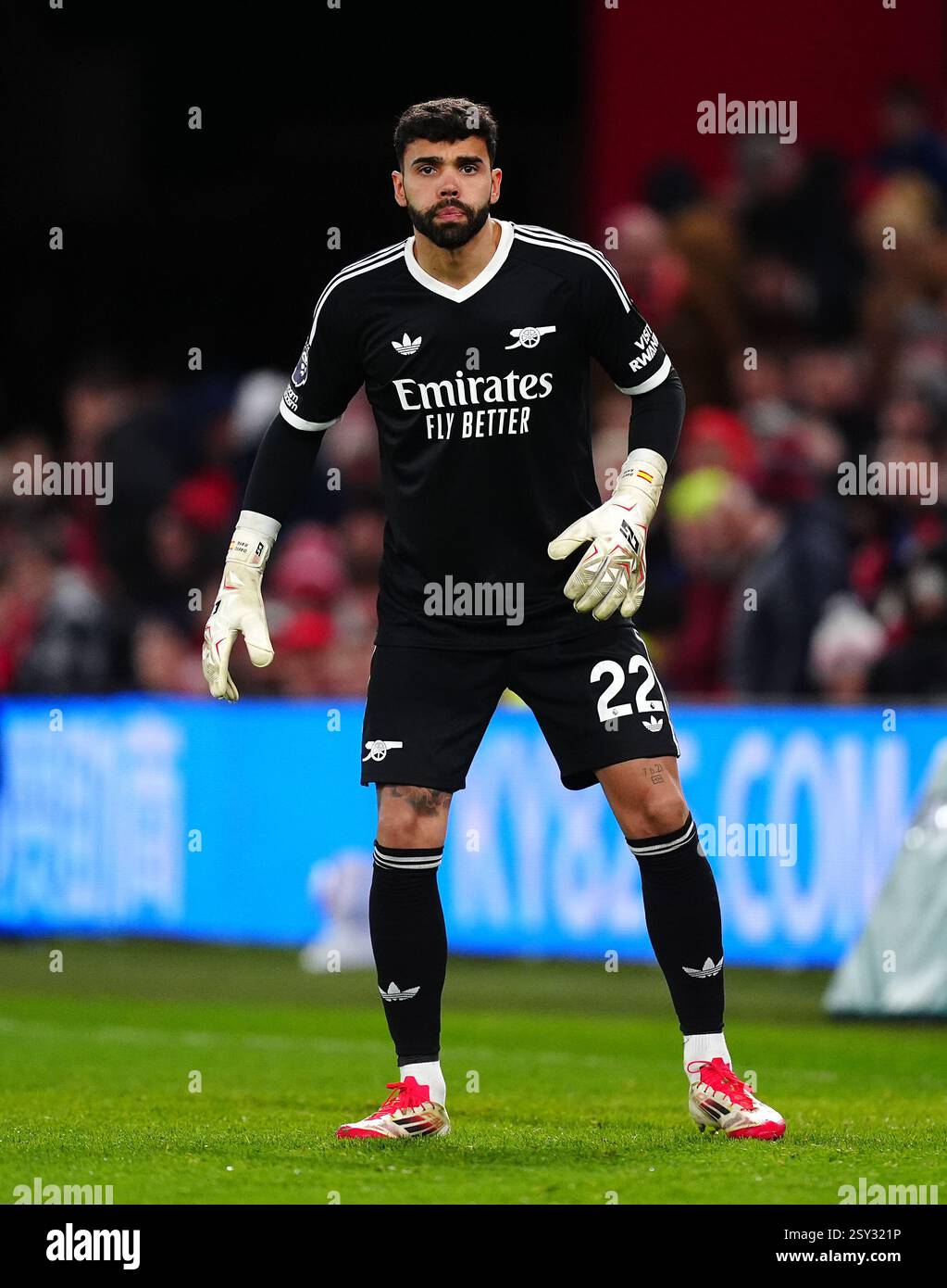 Arsenal goalkeeper David Raya during the Premier League match at the ...