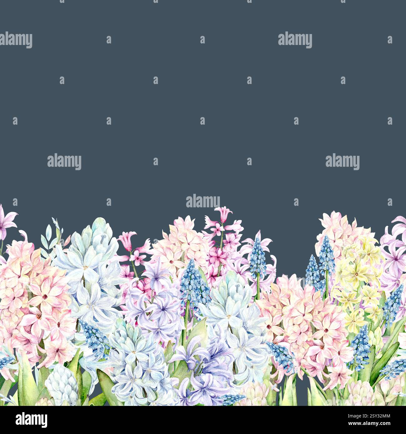 A seamless border of spring flowers. Hyacinths of different, blue and ...