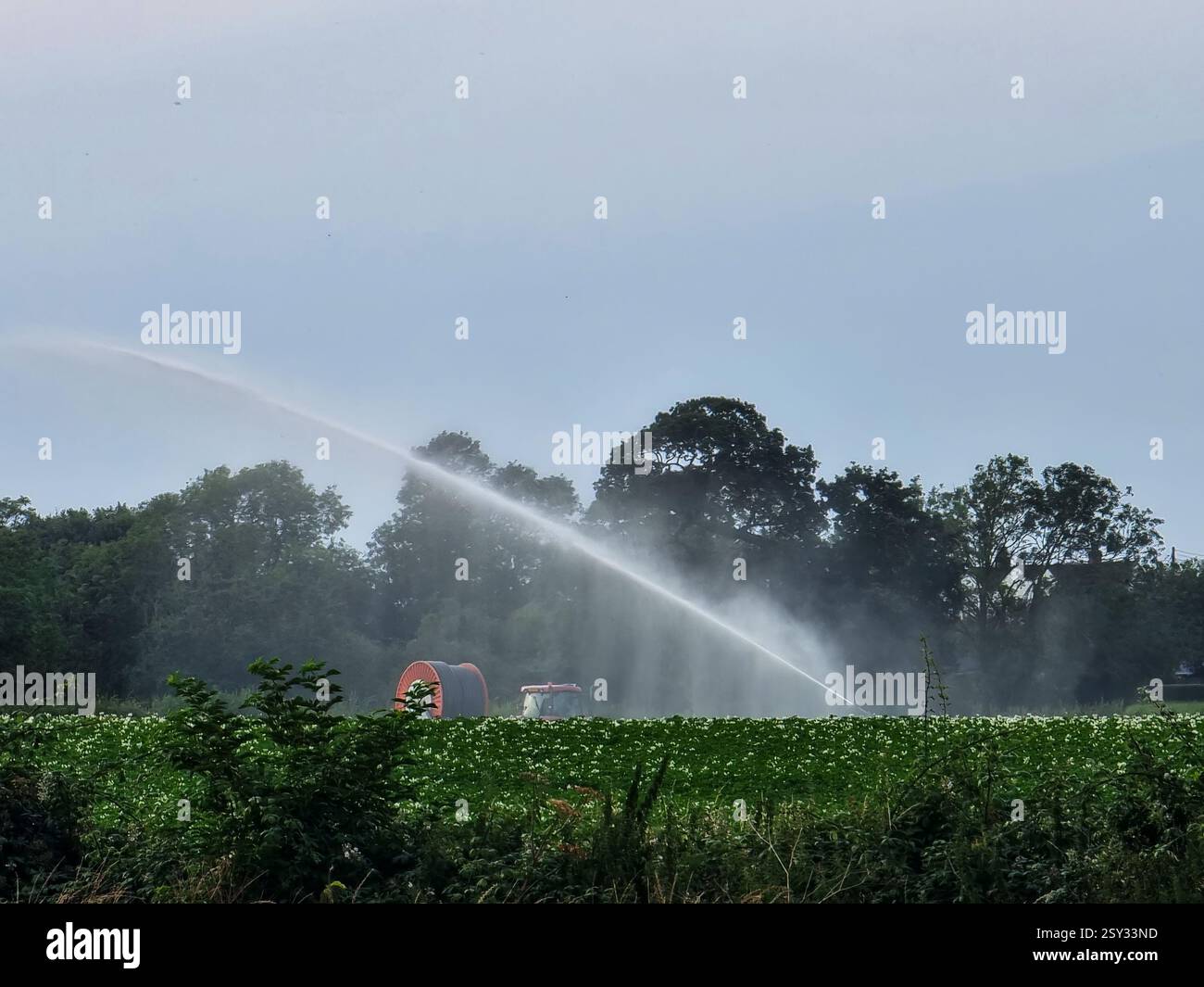 Unique irrigation method hi-res stock photography and images - Alamy