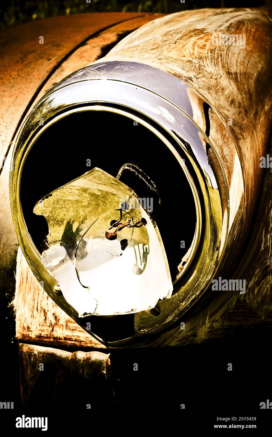 Car hood with a bug in the light Stock Photo - Alamy