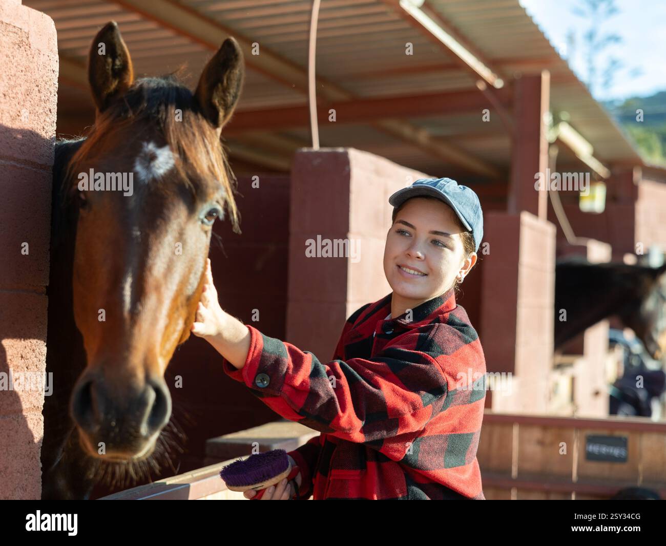 Caring female worker holding brush scrubbing neck of brown horse horse ...