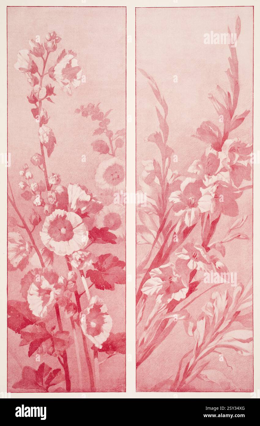 Malven und Gladiolus (mallows and Gladioli), halftone monochrome ...