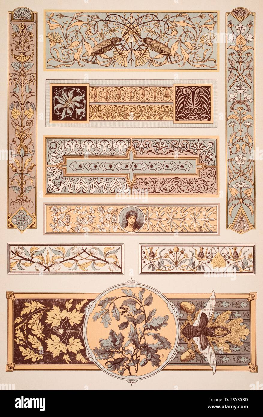 Flachenmuster und Borduren (flat patterns and borders), decoration ...